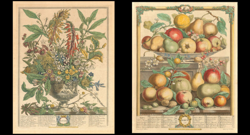 Daniel Crouch Rare Books - Daniel Crouch Rare Books