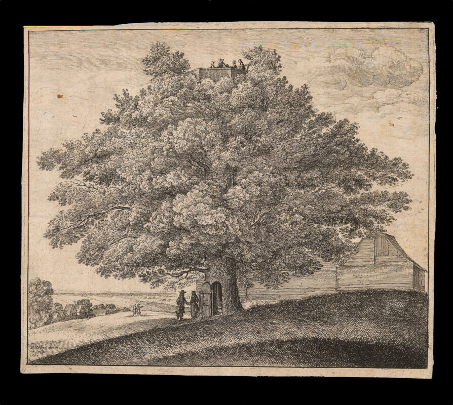 The tree-house on Hampstead Heath - Daniel Crouch Rare Books